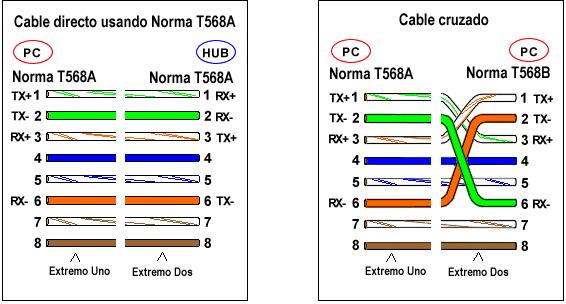 elegir cable red cruzado en PC › Hardware